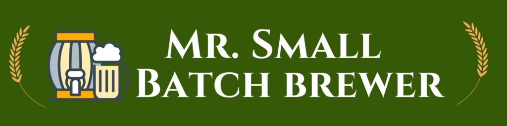 How To Brew 1 Gallon Brew-in-a-Bag (BIAB) - Mr. Small Batch Brewer