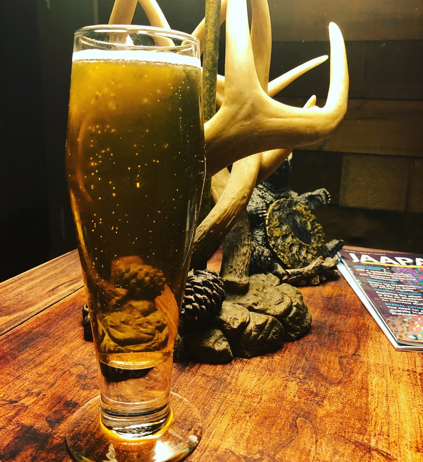 New Zealand Pilsner BIAB Recipe - Mr. Small Batch Brewer